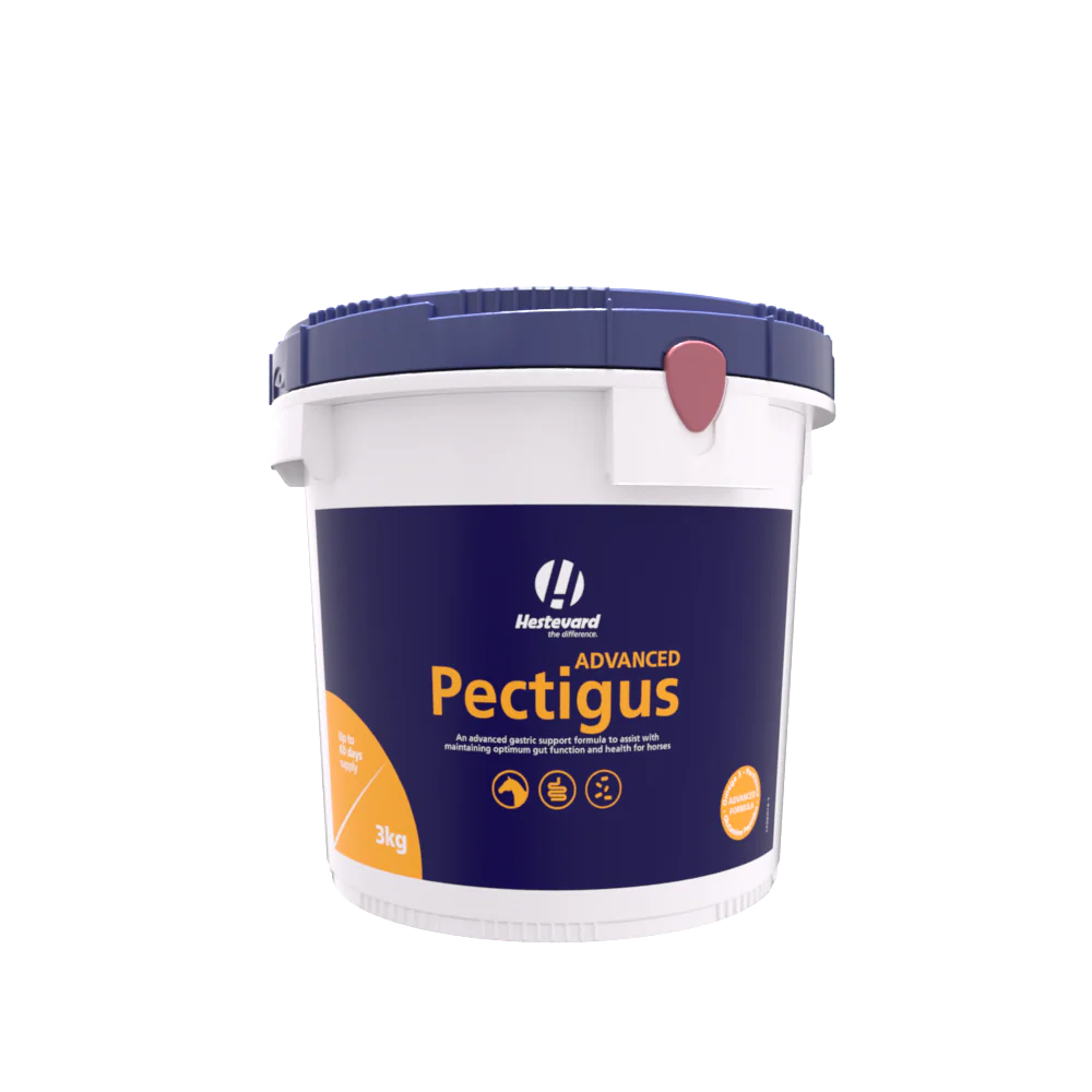Hestevard Pectigus ADVANCED 3kg (formerly Exagus Advanced) – The Horse Vet